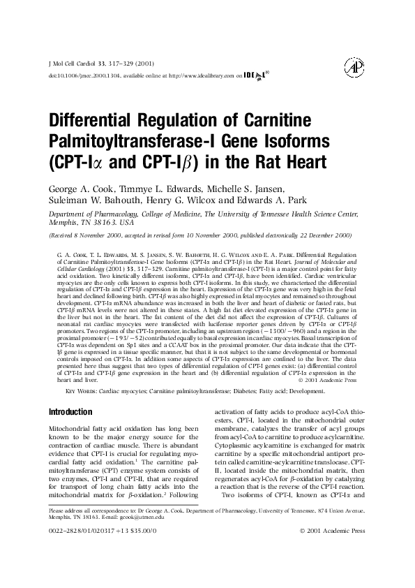 (PDF) Differential Regulation of Carnitine Palmitoyltransferase-I Gene ...