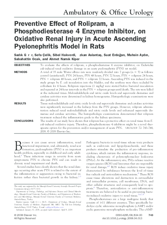 (PDF) Preventive Effect of Rolipram, a Phosphodiesterase 4 Enzyme ...