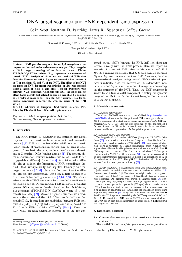 Pdf Dna Target Sequence And Fnr Dependent Gene Expression 