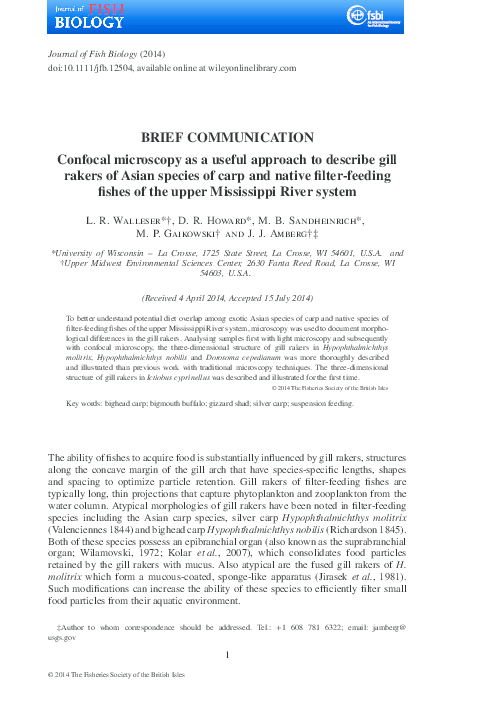 (PDF) Confocal microscopy as a useful approach to describe gill rakers ...