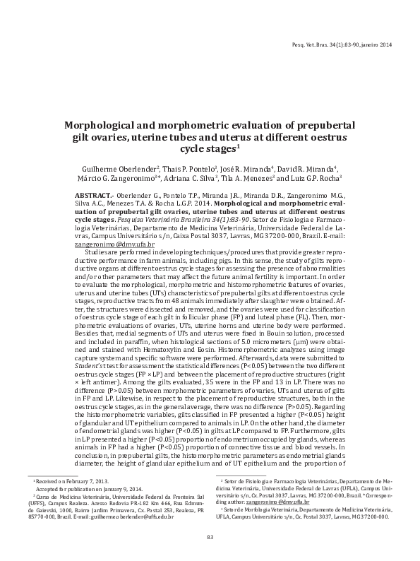 (PDF) Morphological and morphometric evaluation of prepubertal gilt ...