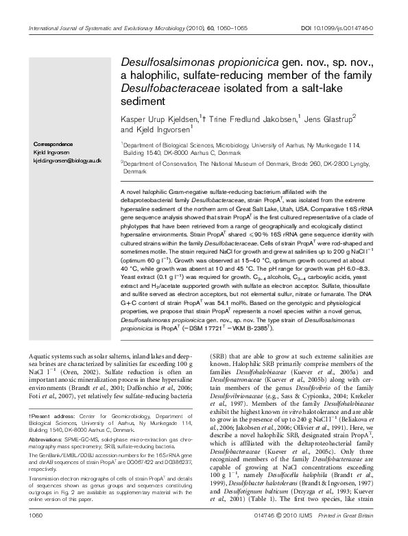 (PDF) Desulfobacteraceae isolated from a salt-lake sediment