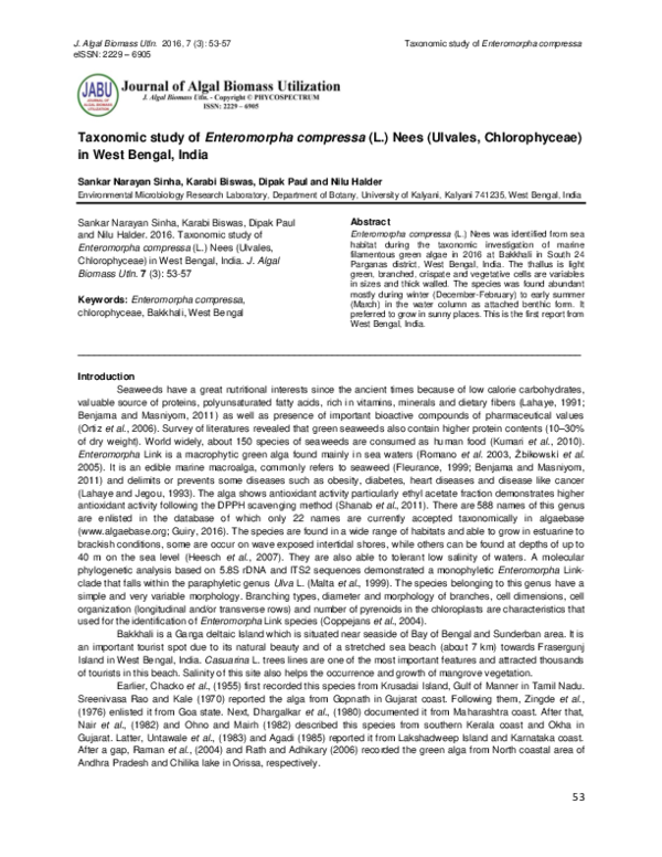 (PDF) Taxonomic study of Enteromorpha compressa (L.) Nees (Ulvales ...