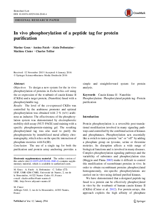 In vivo phosphorylation of a peptide tag for protein purification ...