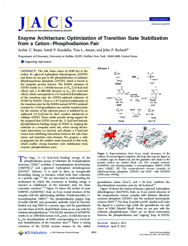 (PDF) Enzyme Architecture: Optimization of Transition State ...