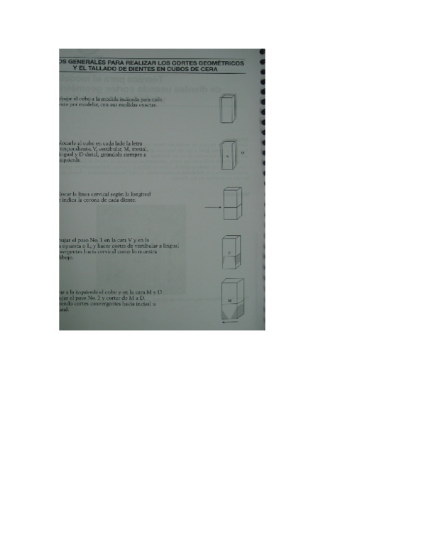 (DOC) GUÍA PARA EL TALLADO DENTAL | Patricia Ruelas - Academia.edu