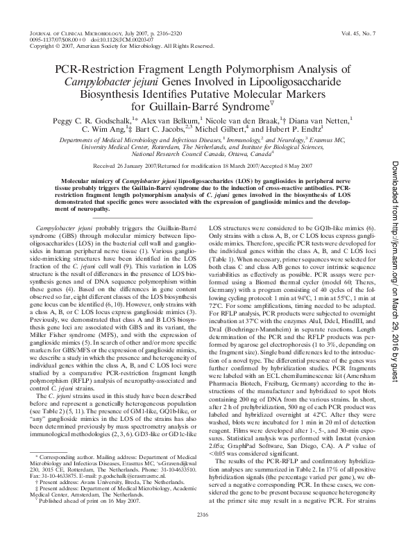 Pdf Pcr Restriction Fragment Length Polymorphism Assay For Detection