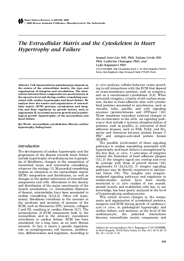 (PDF) The extracellular matrix and the cytoskeleton in heart ...