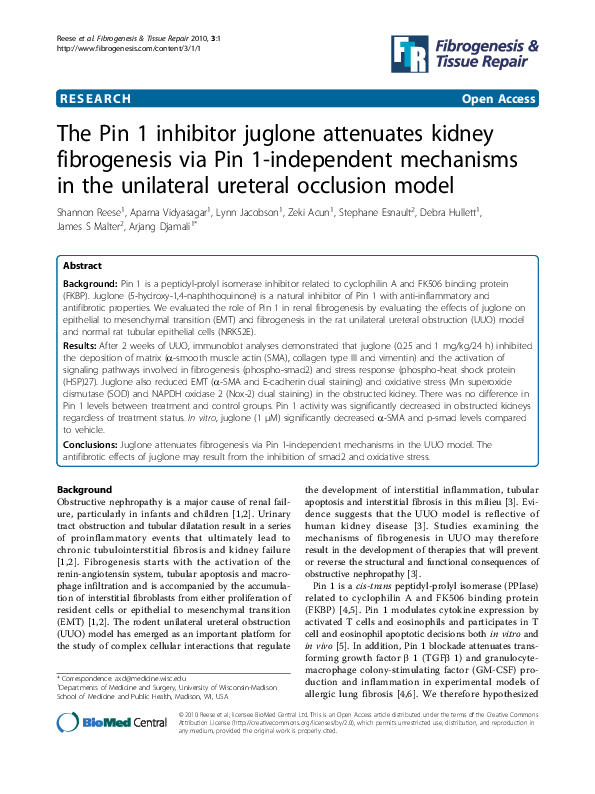 (PDF) The Pin 1 inhibitor juglone attenuates kidney fibrogenesis via ...