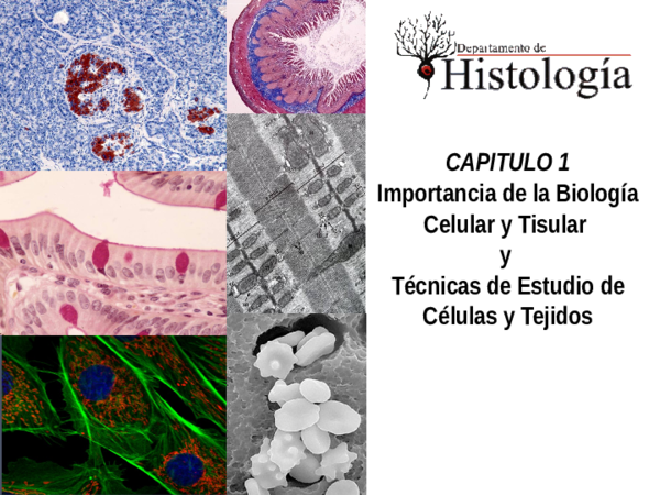 (PPT) Cap. 1 Importancia de la biologia celular y tisular