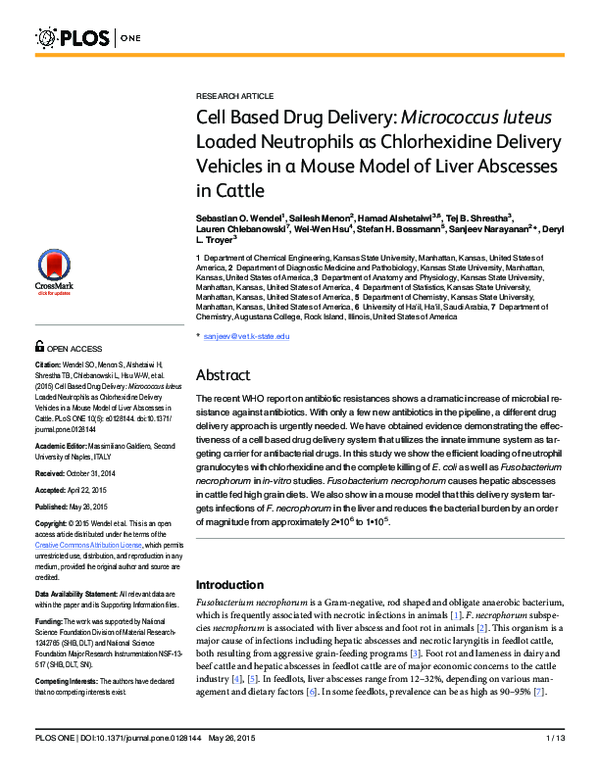 (PDF) Cell Based Drug Delivery: Micrococcus luteus Loaded Neutrophils as Chlorhexidine Delivery ...