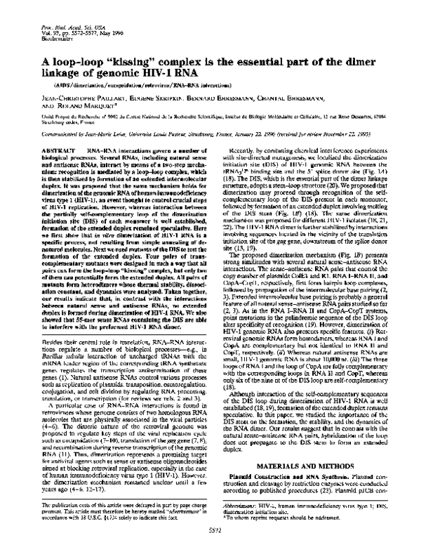 (PDF) A loop-loop "kissing" complex is the essential part of the dimer ...