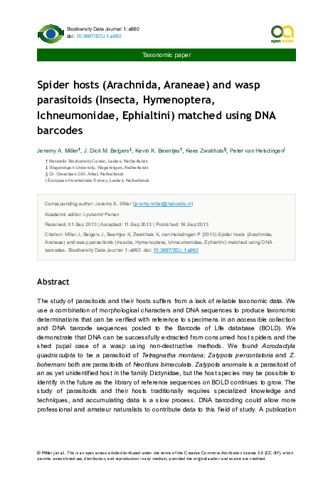 (PDF) Spider hosts (Arachnida, Araneae) and wasp parasitoids (Insecta ...
