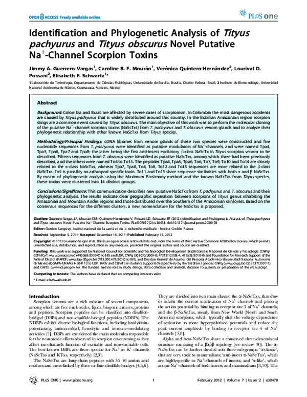 (PDF) Identification and Phylogenetic Analysis of Tityus pachyurus and ...