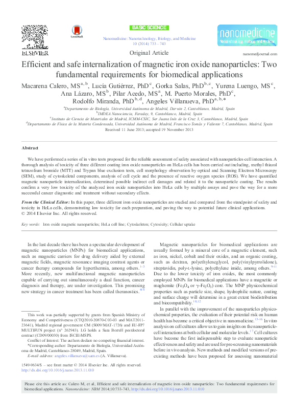 (PDF) Efficient and safe internalization of magnetic iron oxide ...
