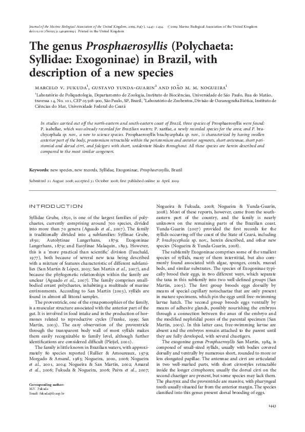 (PDF) The genus Prosphaerosyllis (Polychaeta: Syllidae: Exogoninae) in ...