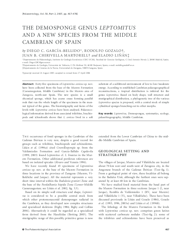 (PDF) THE DEMOSPONGE GENUS LEPTOMITUS and A NEW SPECIES FROM THE MIDDLE ...