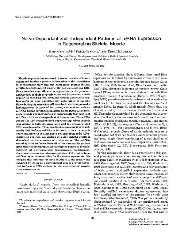 (PDF) Nerve-dependent and-independent patterns of mRNA expression in ...