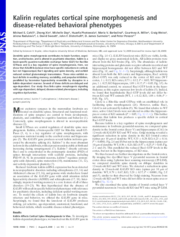(PDF) Kalirin regulates cortical spine morphogenesis and disease ...