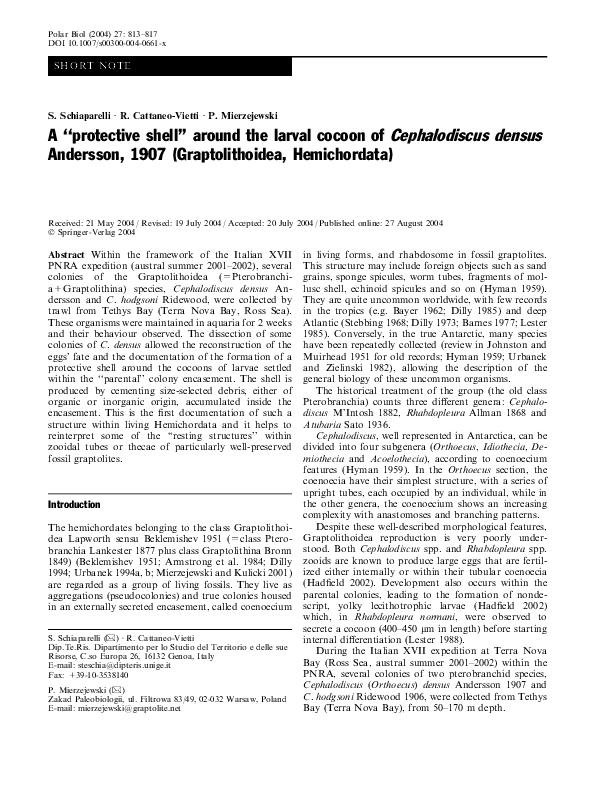 (PDF) A ?protective shell? around the larval cocoon of Cephalodiscus ...