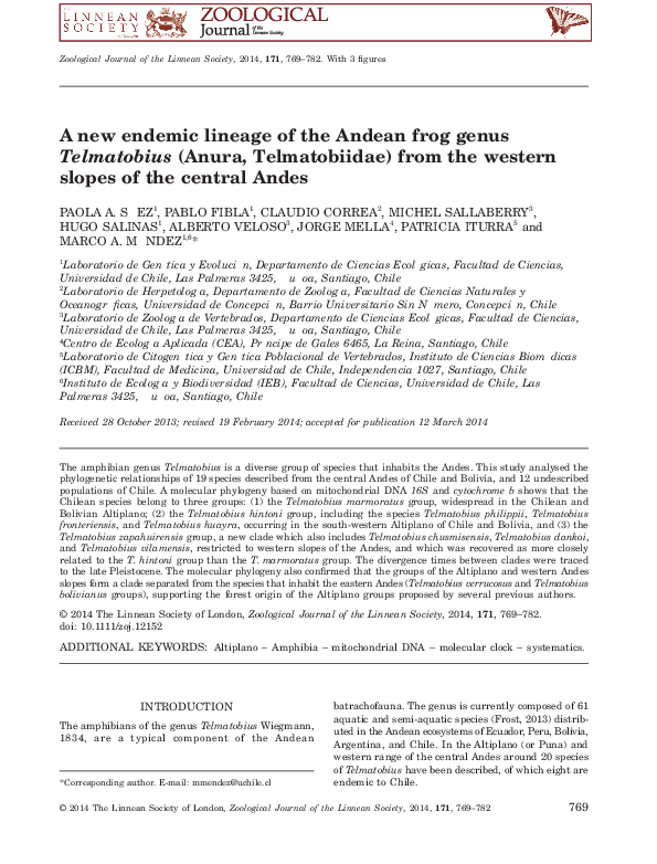 (PDF) A new endemic lineage of the Andean frog genus Telmatobius (Anura ...
