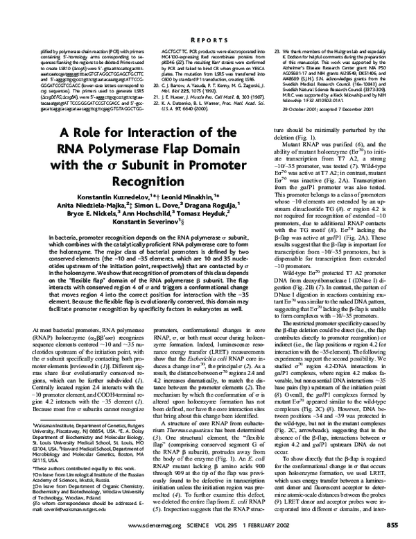 (PDF) A Role for Interaction of the RNA Polymerase Flap Domain with the ...