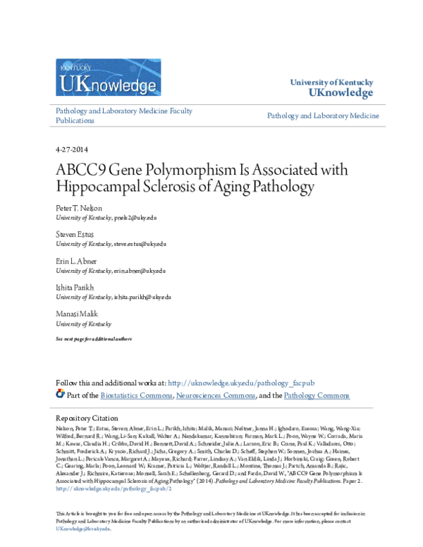 (PDF) ABCC9 gene polymorphism is associated with hippocampal sclerosis ...