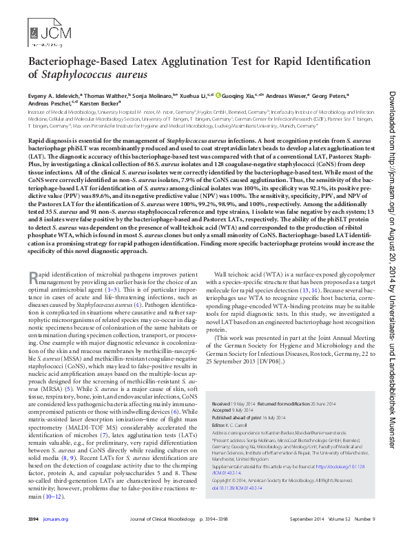 (PDF) Bacteriophage-based latex agglutination test for rapid ...