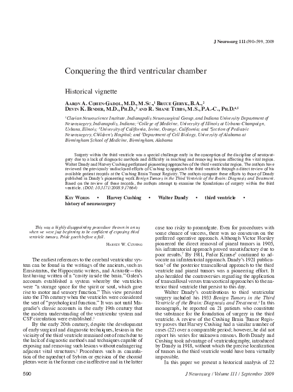 (PDF) Conquering the third ventricular chamber