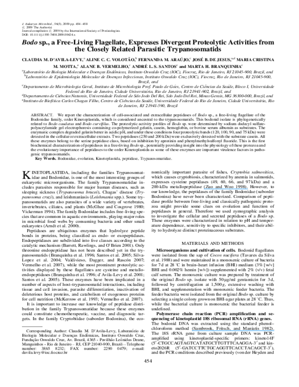 (PDF) Bodo sp., a Free-Living Flagellate, Expresses Divergent ...