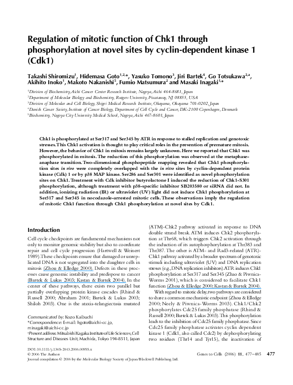 (PDF) Regulation of mitotic function of Chk1 through phosphorylation at ...