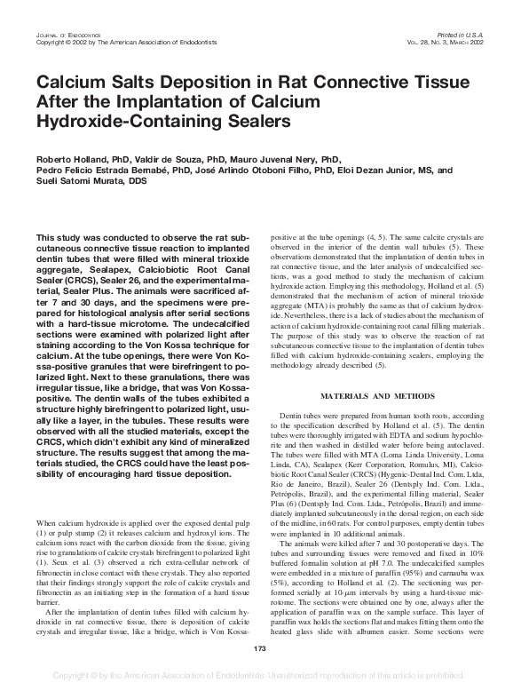 (PDF) Calcium salts deposition in rat connective tissue after the ...