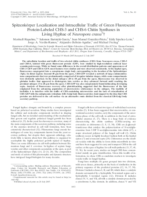 (PDF) Spitzenkorper Localization and Intracellular Traffic of Green ...
