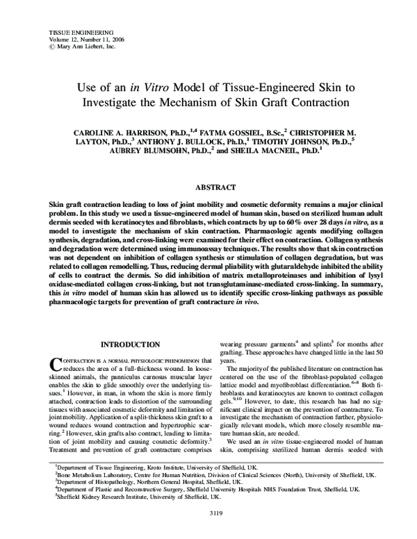 (PDF) Use of an in Vitro Model of Tissue-Engineered Skin to Investigate ...