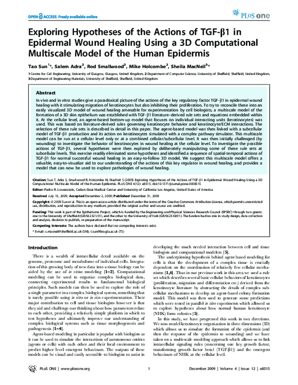 (PDF) Exploring Hypotheses of the Actions of TGF-β1 in Epidermal Wound ...