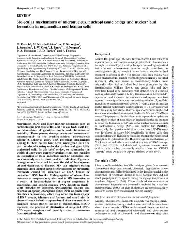 (PDF) Molecular mechanisms of micronucleus, nucleoplasmic bridge and ...