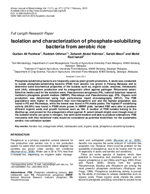 (PDF) Isolation and characterization of phosphate-solubilizing bacteria from aerobic rice. Afr J ...