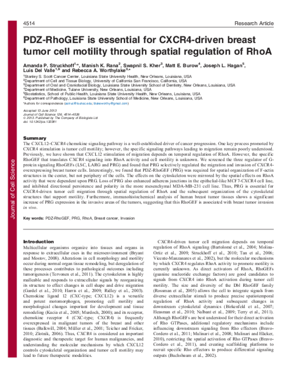(PDF) PDZ-RhoGEF is essential for CXCR4-driven breast tumor cell motility through spatial ...