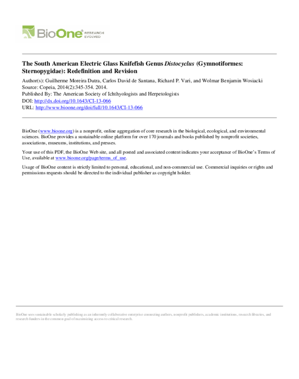 (PDF) The South American Electric Glass Knifefish Genus Distocyclus ...