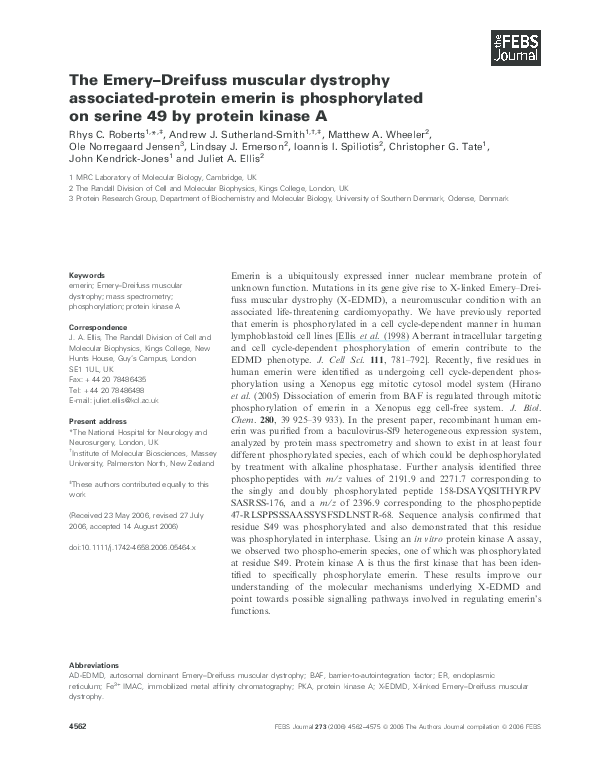 (PDF) The Emery?Dreifuss muscular dystrophy associated-protein emerin ...