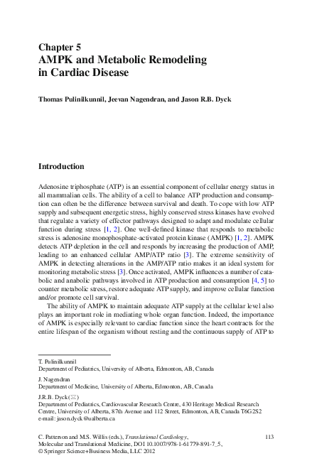 (PDF) AMPK and Metabolic Remodeling in Cardiac Disease