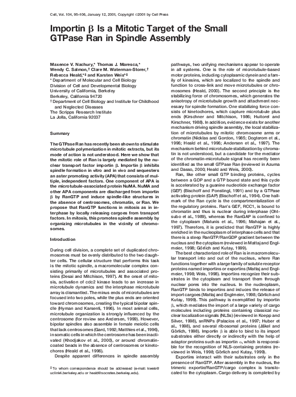 (PDF) Importin β Is a Mitotic Target of the Small GTPase Ran in Spindle ...
