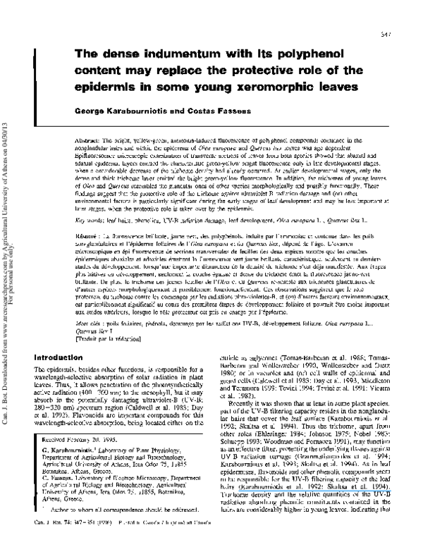 (PDF) The dense indumentum with its polyphenol content may replace the ...