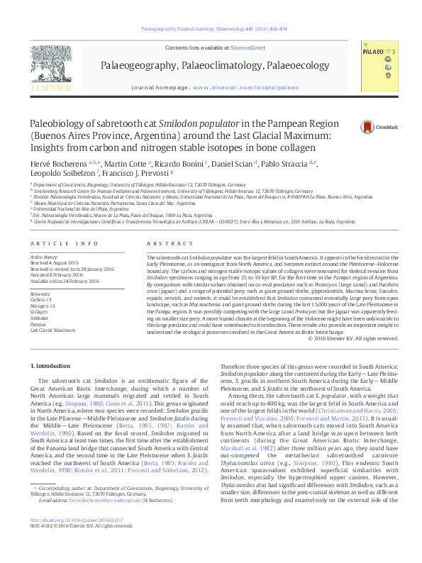 (PDF) Paleobiology of sabretooth cat Smilodon populator in the Pampean ...