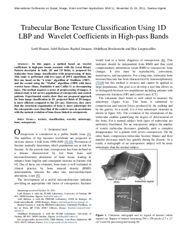 (PDF) Trabecular Bone Texture Classification Using 1D LBP and Wavelet Coefficients in High-pass ...