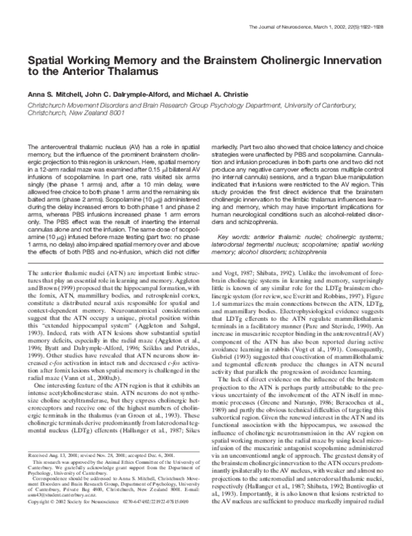 (PDF) Spatial working memory and the brainstem cholinergic innervation to the anterior thalamus