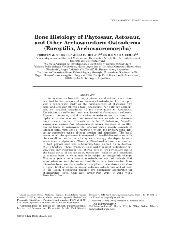 (PDF) Bone Histology of Phytosaur, Aetosaur, and Other Archosauriform ...