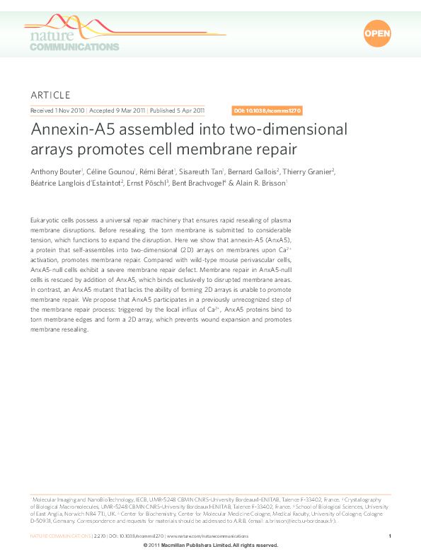 (PDF) Annexin-A5 assembled into two-dimensional arrays promotes cell ...