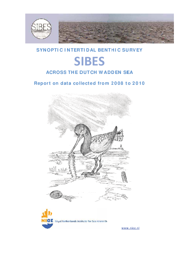 (PDF) SYNOPTIC INTERTIDAL BENTHIC SURVEY, SIBES, accros the Dutch ...