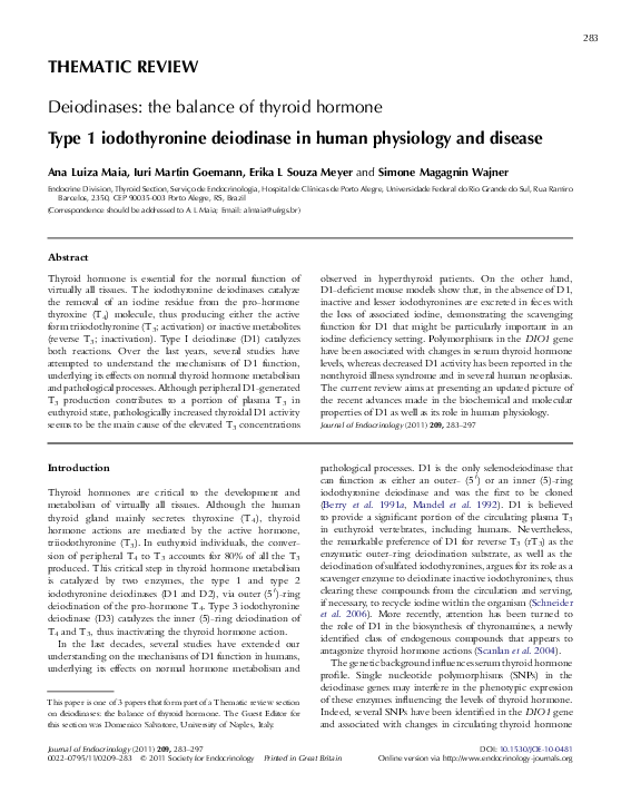 (PDF) Deiodinases: the balance of thyroid hormone: type 1 iodothyronine ...